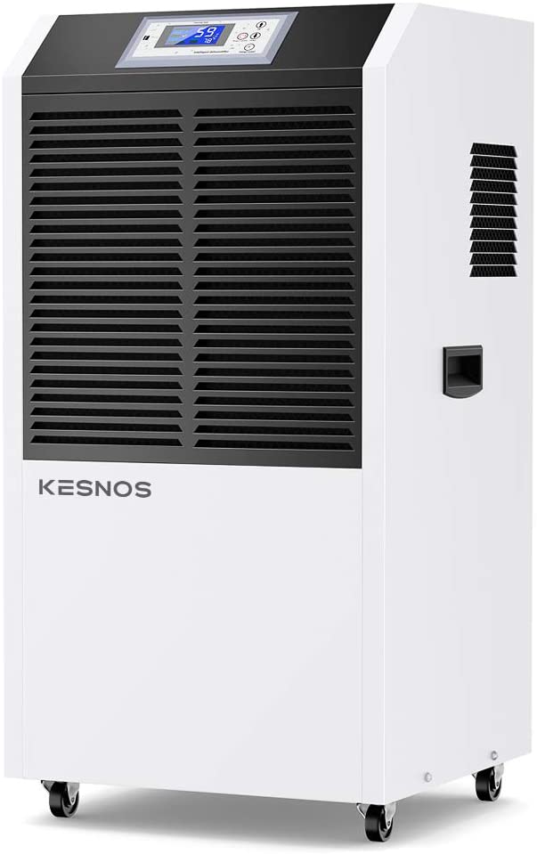 Warehouse & Storage Dehumidifiers – Field-Tested & Approved Buyer’s Guide